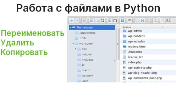 Как переименовать или удалить все файлы с помощью Python