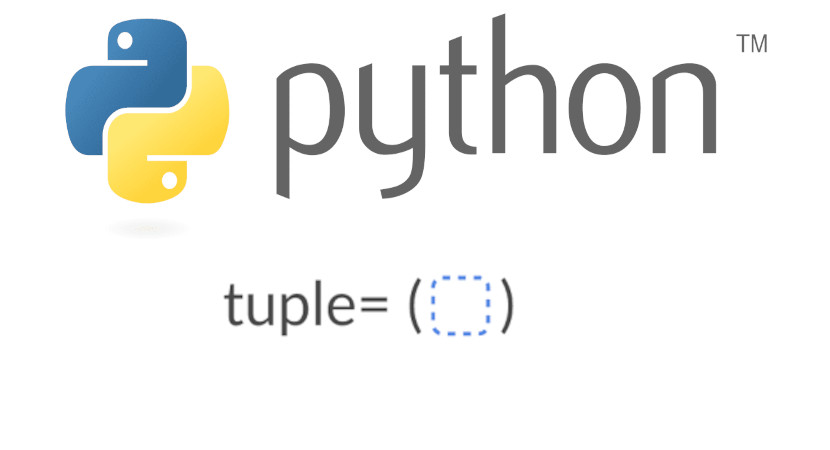 Что такое кортежи в Python Корпоративные курсы Python в Big Data и